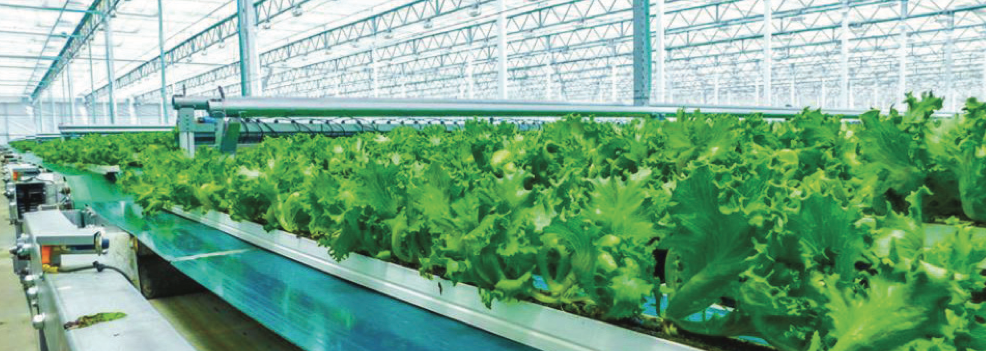 Feeding the Economy: Food & Agriculture in North Central Massachusetts ...